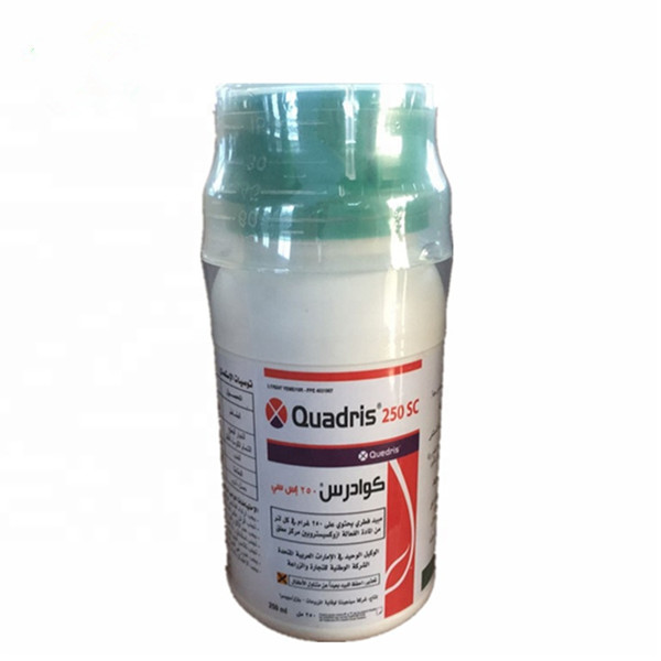 China Fungicide Azoxystrobin 250g/l SC 50% WDG in agriculture factory ...