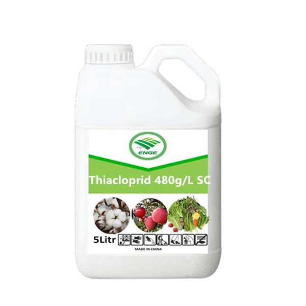 Thiacloprid 480 SC insecticide