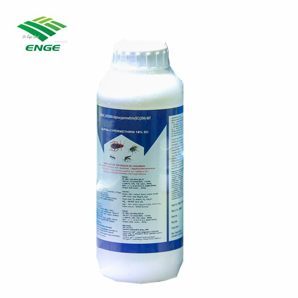 Alpha-cypermethrin insecticide 10%SC 5%WP
